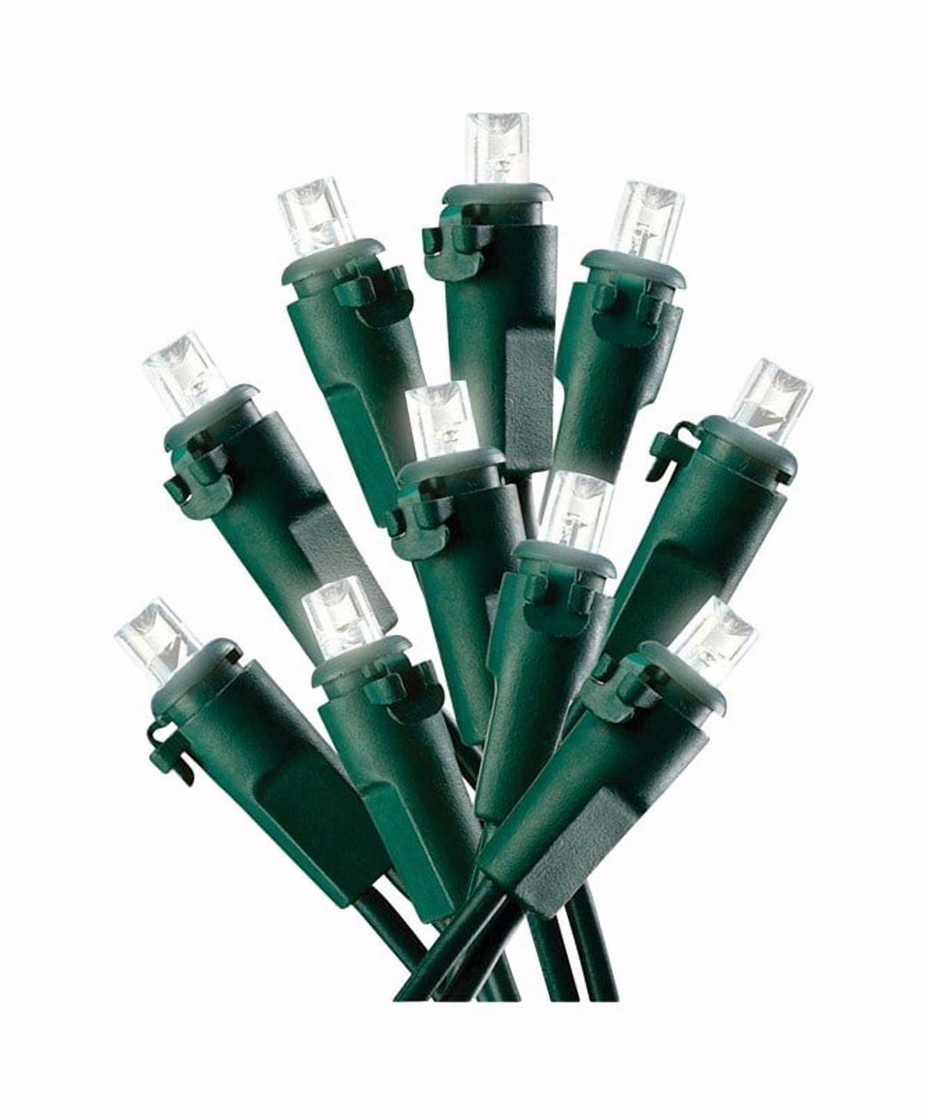 Celebrations LED Warm White Micro Light Set, 100 Count, 24.5 ft Lighted ...