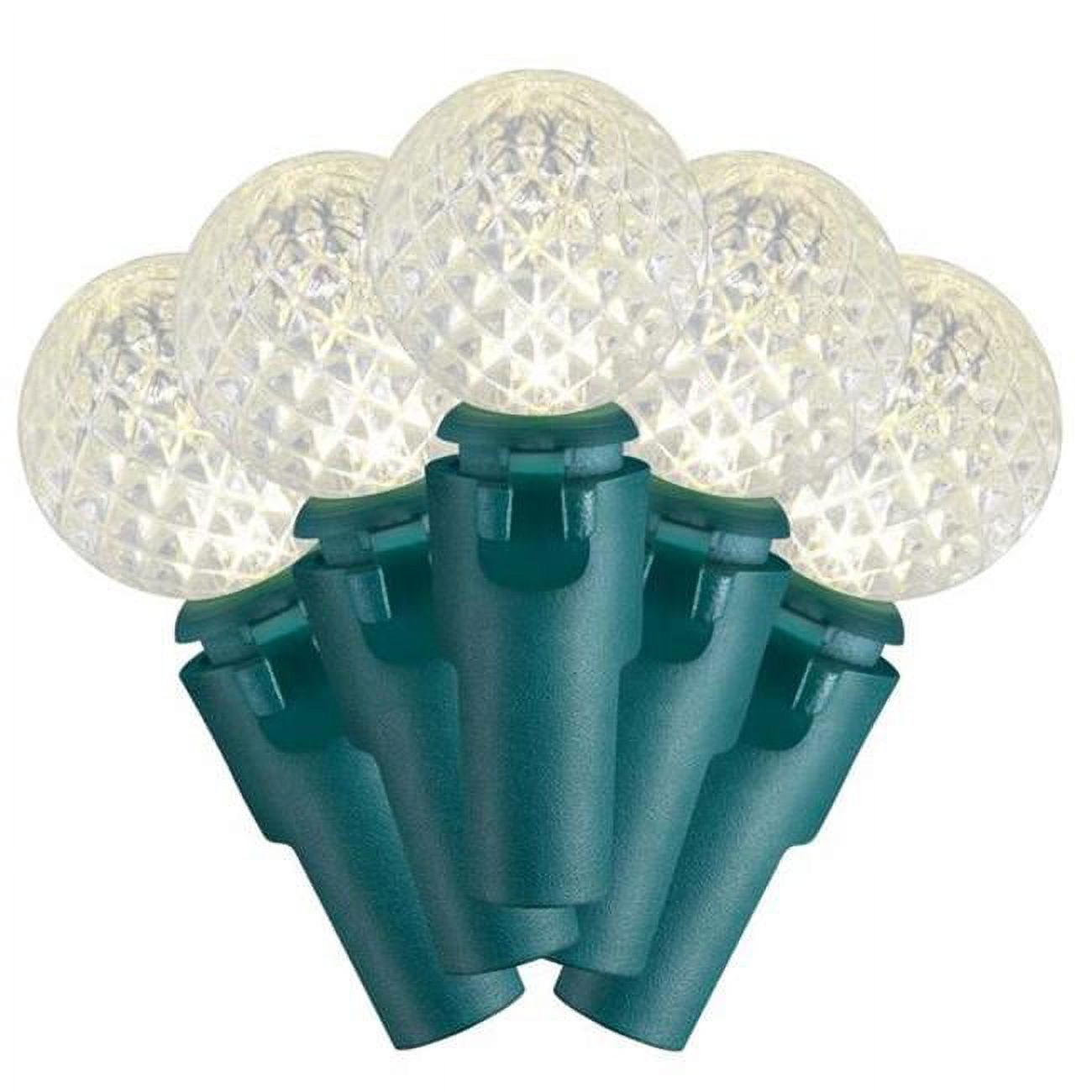 Celebrations 9046339 LED Battery Operated Globe Lights Warm White - 50 ...