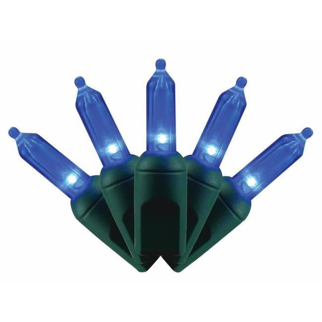 Celebrations 9086331 25 ft. Platinum LED T5 String Christmas Lights ...