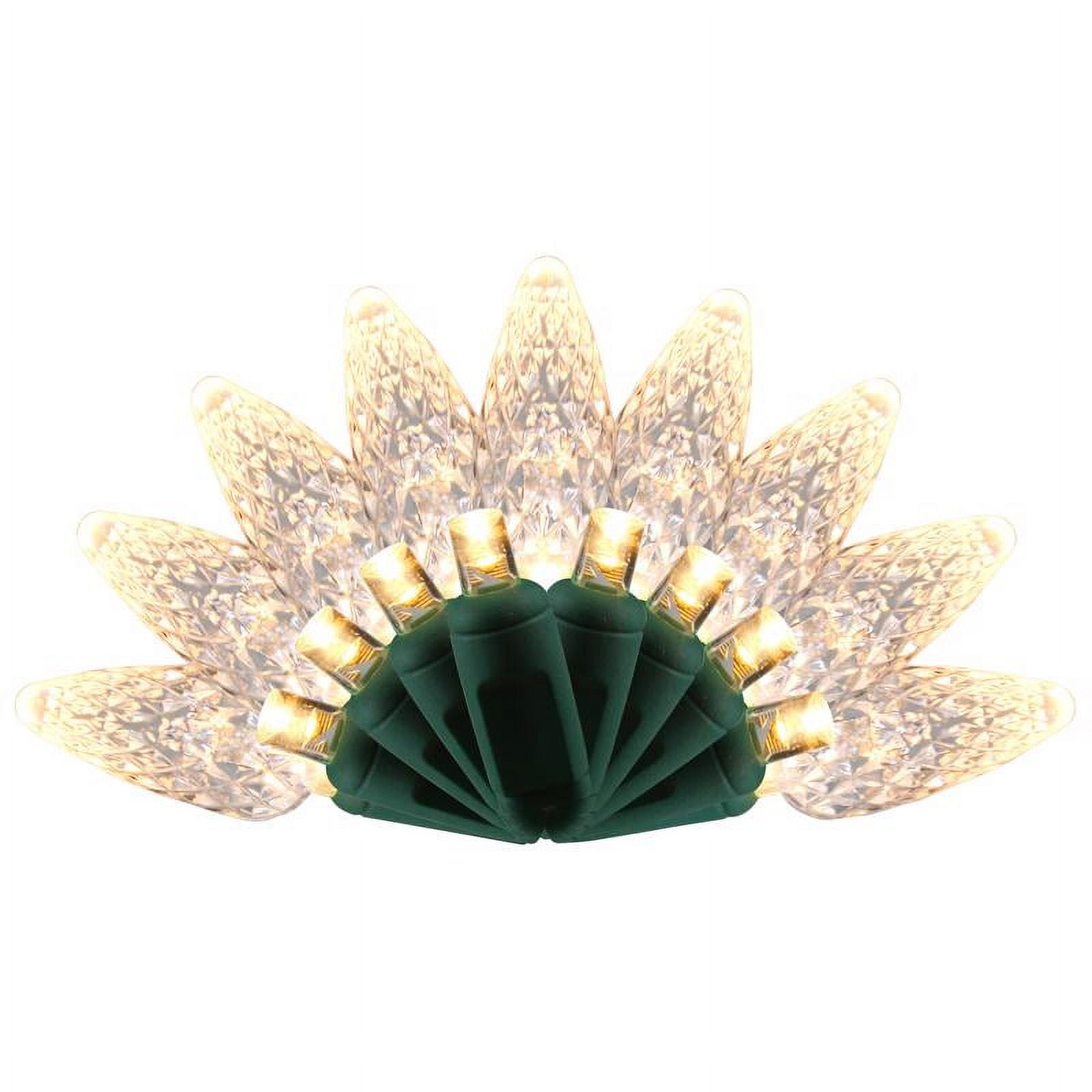 Celebrations Platinum LED C6 Warm White 50 ct String Christmas Lights ...