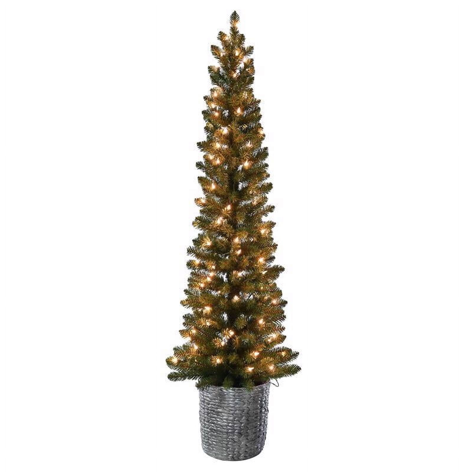 CMAS TREE ALPINE CLR 5' (Pack of 1) - Walmart.com
