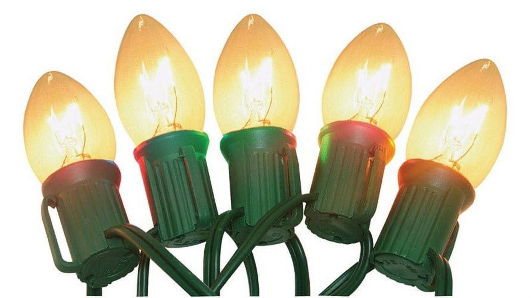 Celebrations B42G4111 C7 Indoor/Outdoor Light Set, 25', Clear Lights ...