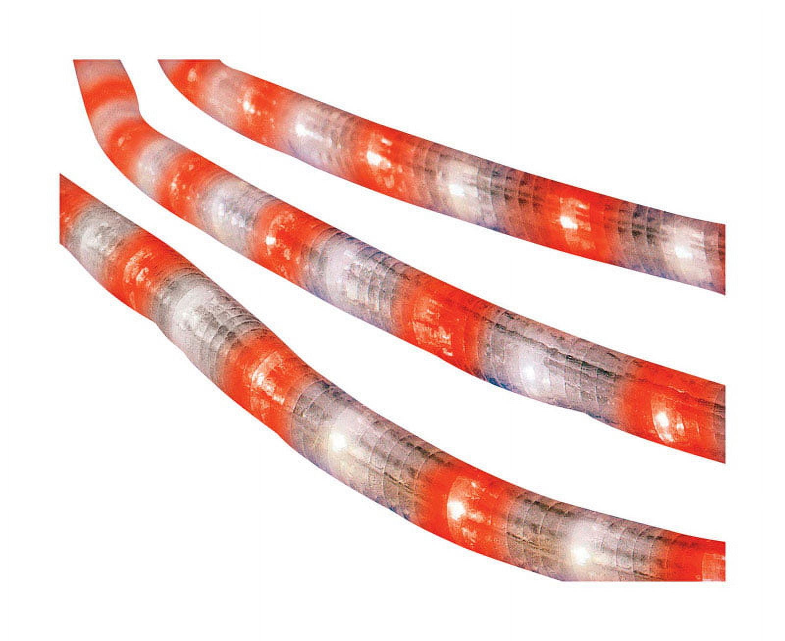 Celebrations Indoor/Outdoor Incandescent Rope Light, 18 Feet, 216 Red ...