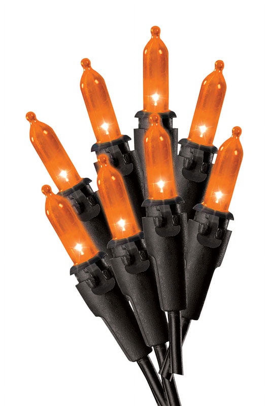 Celebrations Mini Strand Decorative Black Wire 50 ct Orange LED String ...