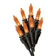 Celebrations Mini Strand Decorative Black Wire 50 ct Orange LED String ...