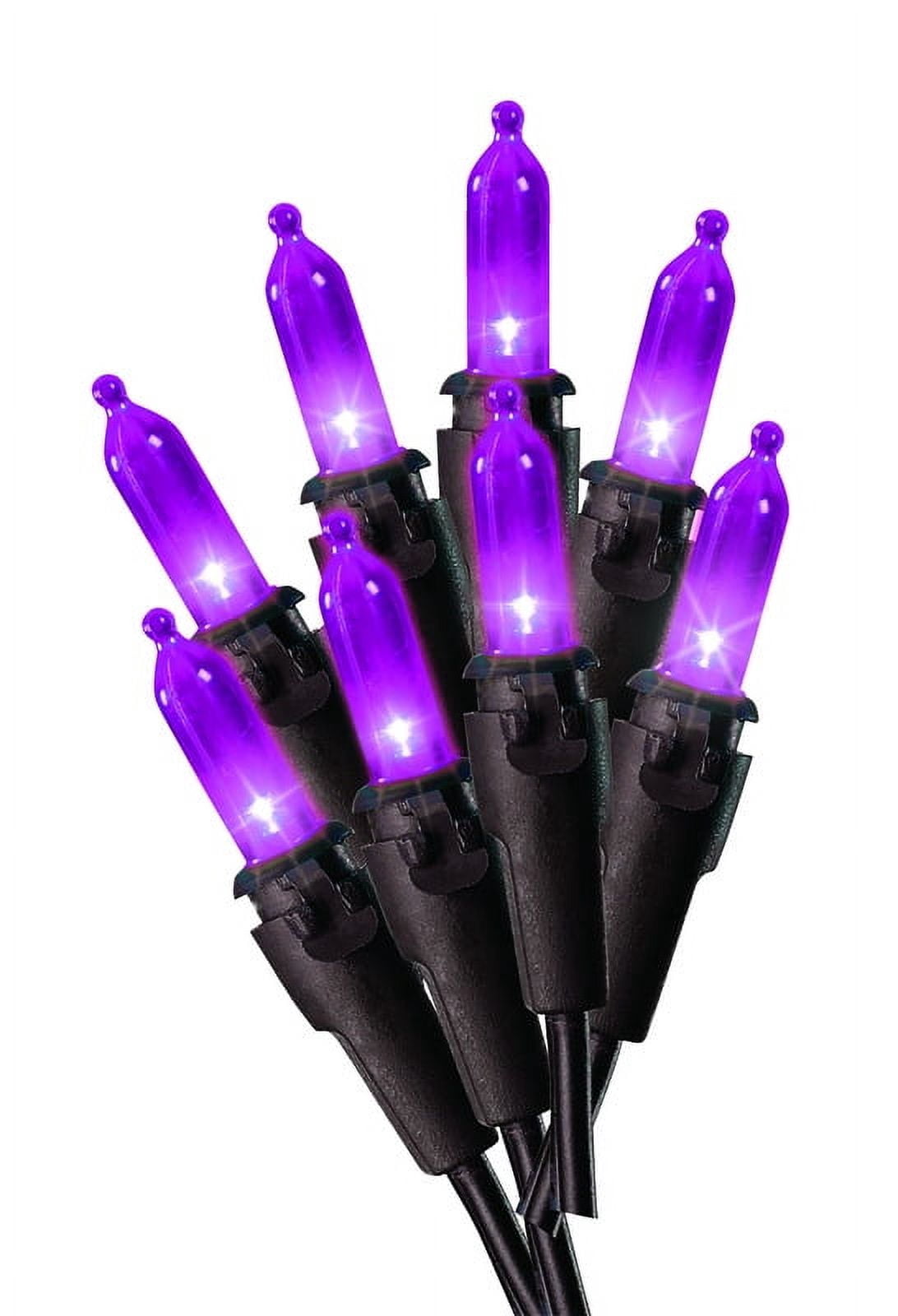 Celebrations Purple 50 ct LED String Lights - Walmart.com