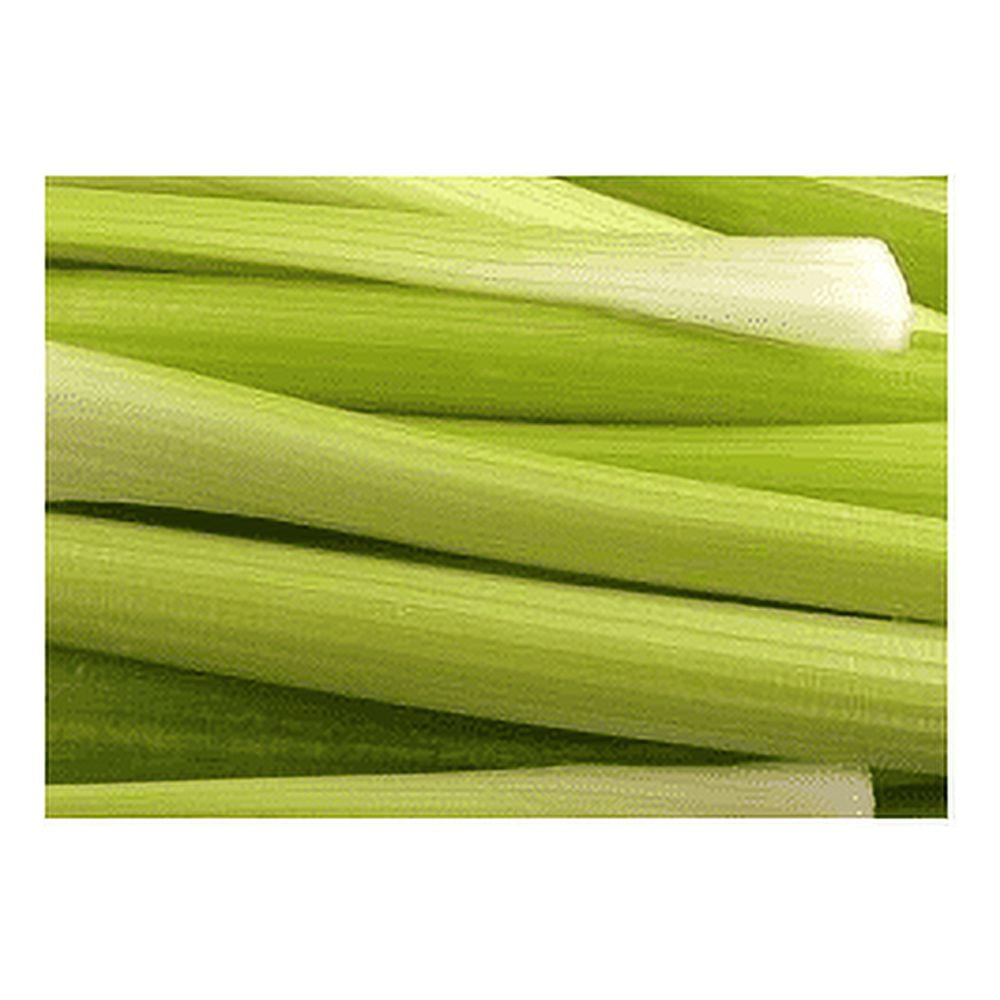 Celery Golden Pascal Great Heirloom Vegetable by Seed Kingdom 1 Oz ...