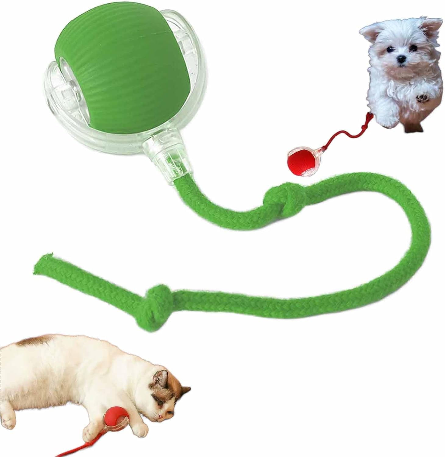 Celery Pets Cat Toy Ball, Celery Pets, Speedy Tail 2.0, Smart ...