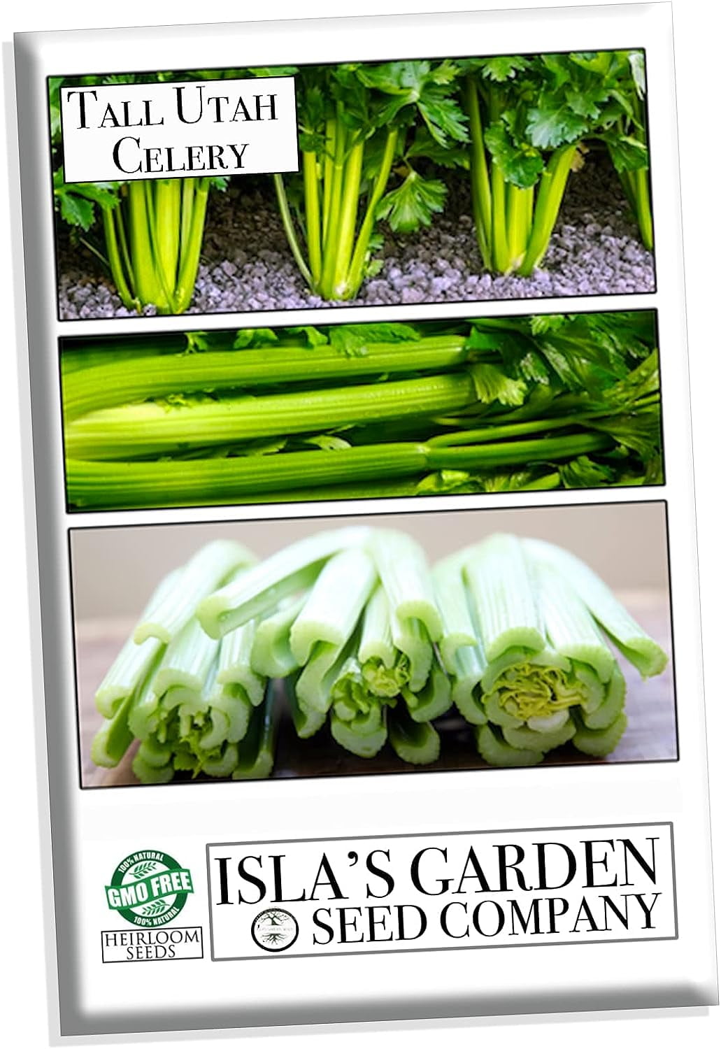 Celery Tall Utah 52-70 Improved Seeds, 2000+ Heirloom Seeds Per Packet ...