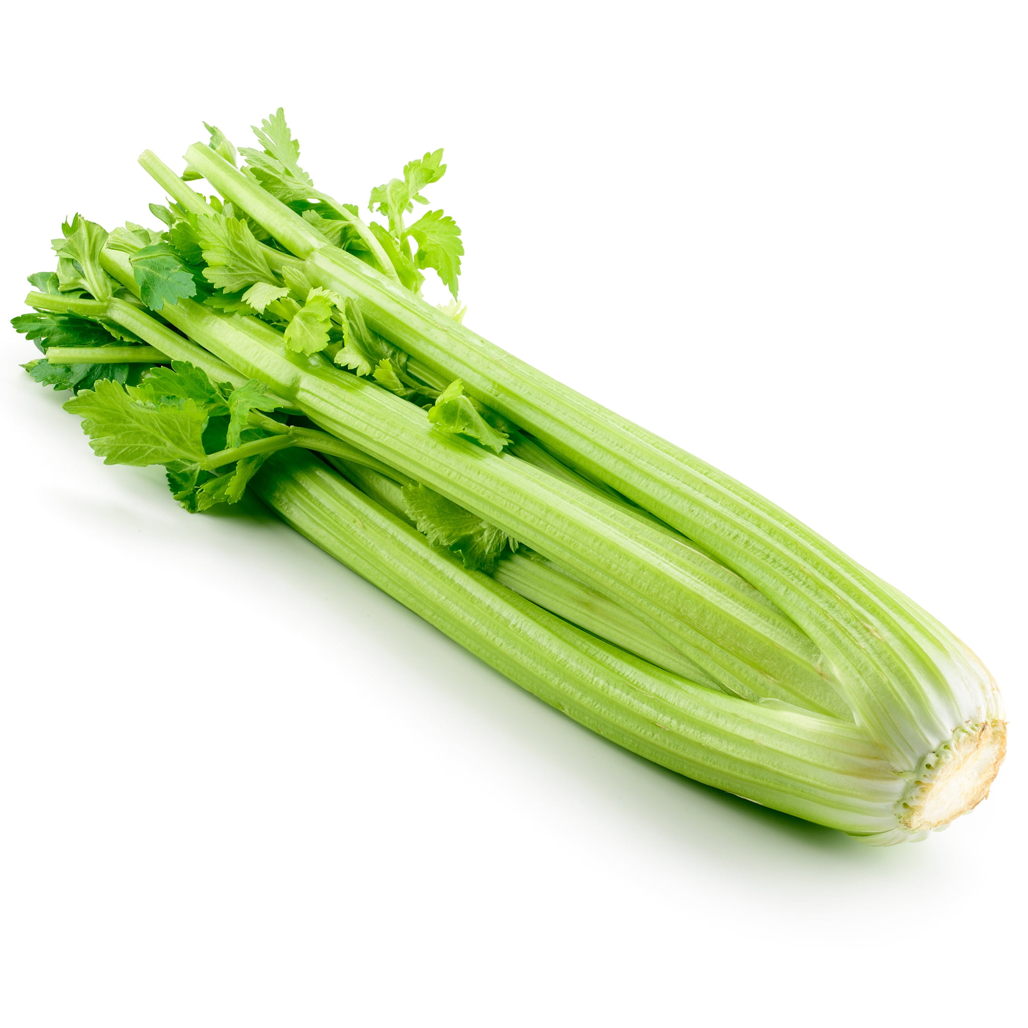 99 Ranch Fresh Celery Stalks - Crisp, Ideal for Salads, Juices, and ...