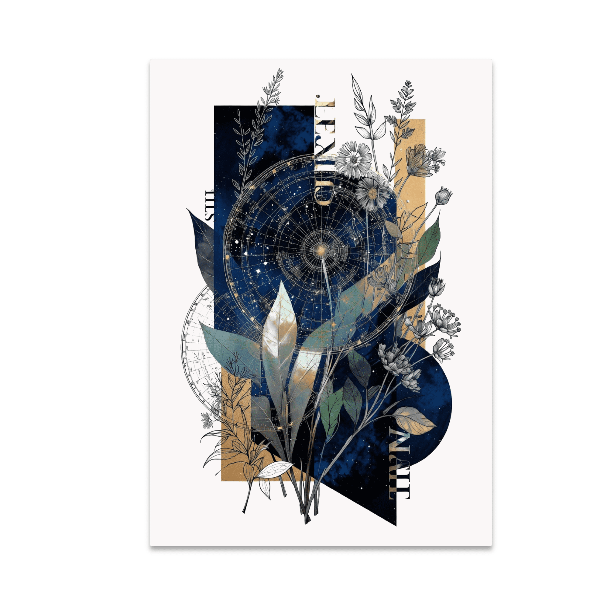 Celestial Botanical Collage - Home Decor Enthusiast - 13x19 Poster ...
