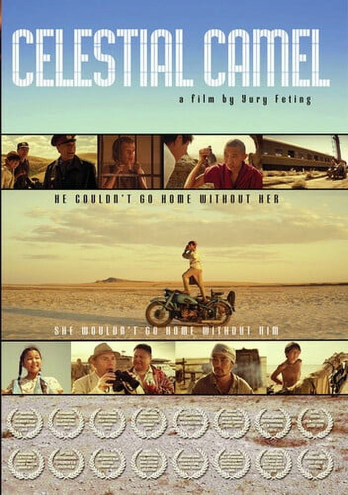 Celestial Camel (DVD), House of Film, Kids & Family - Walmart.com