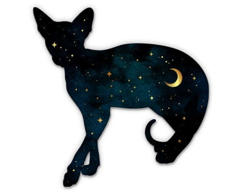 Celestial Cat Sphynx Kitty - 3" Vinyl Sticker - For Car Laptop Water ...