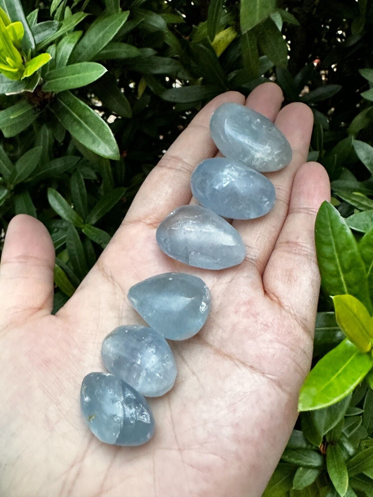 Celestite Tumbled Stone, 0.6"-1.25" Celestite Crystal for Dispelling ...