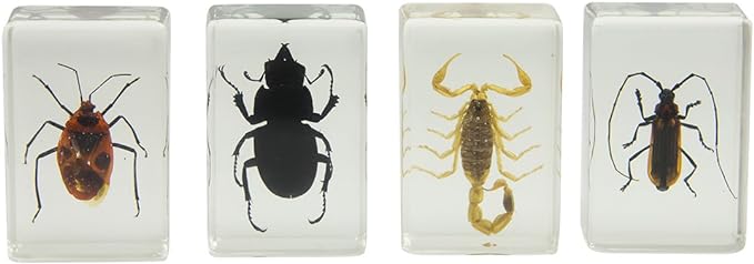 Celestron – Real 3D Bugs in Clear Resin – 4pc Set Includes Scorpion ...