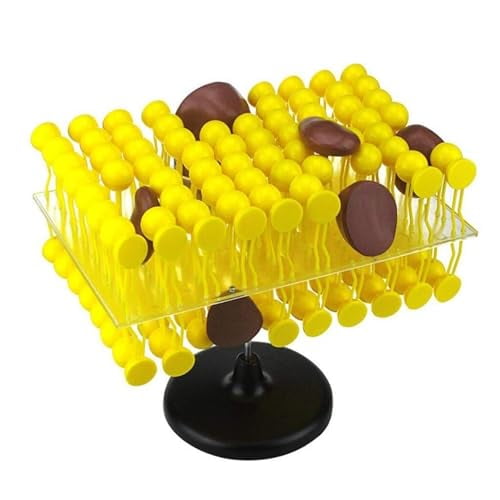 Cell Membrane Flow Mosaic Model Study Resources Anatomy Model,Cell ...