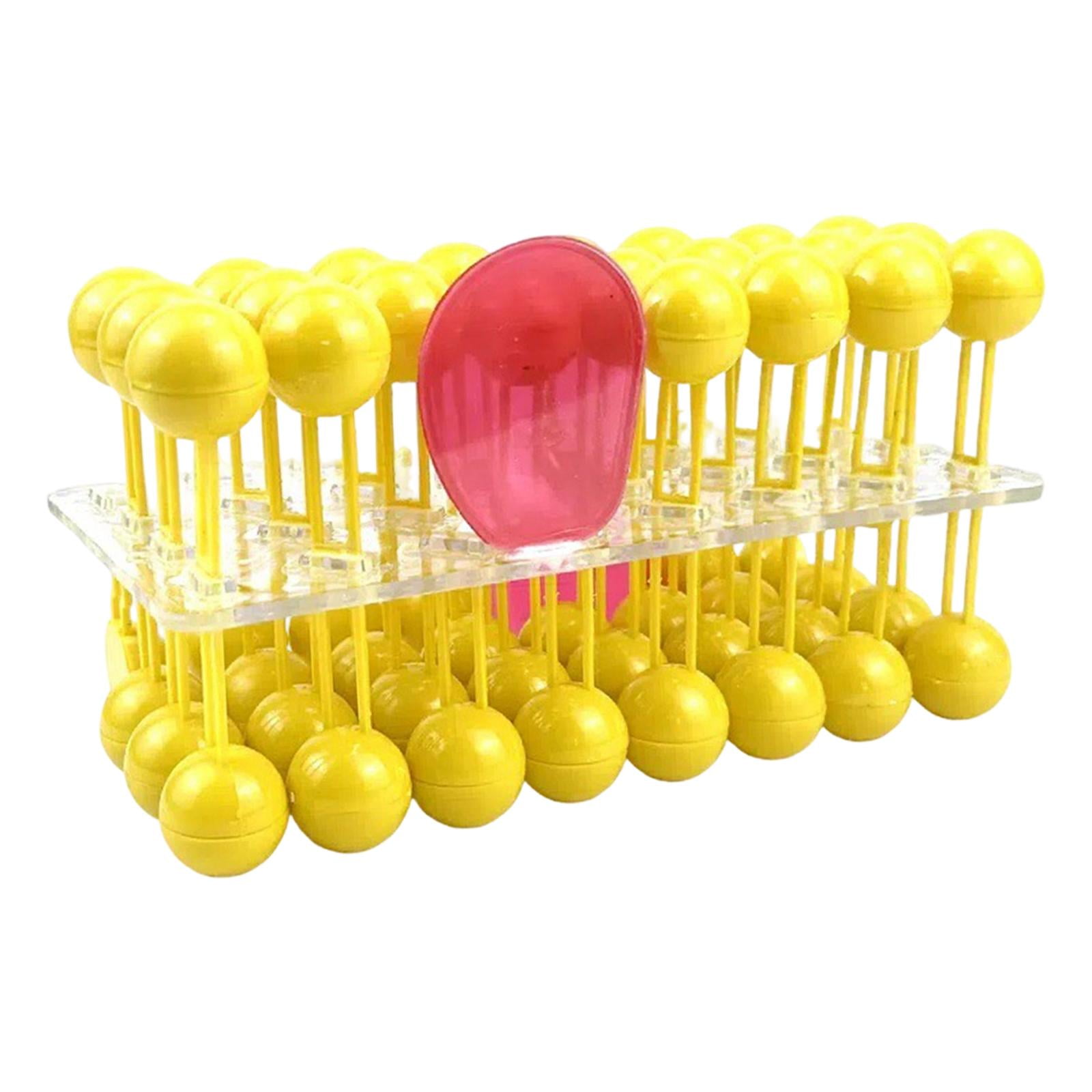 Cell Membrane Model Kit Sub Microstructure Anatomy Plastic Material ...