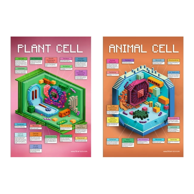 CellCraft Animal Cell & Plant Cell Poster Set - 2 Video Game Cell Structure Charts - 24"x36 ...