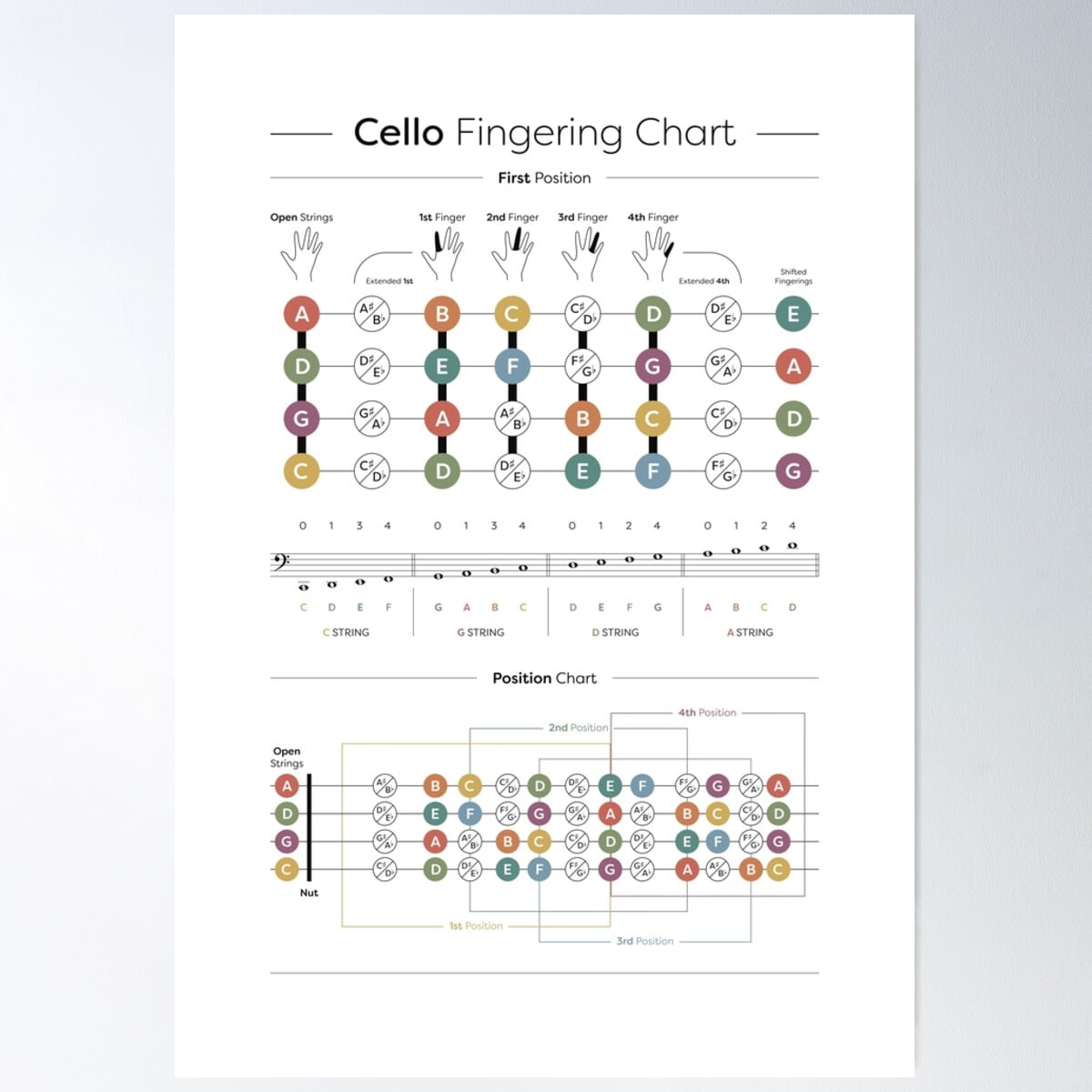 Cello Finger Position Chart Poster Wall Art, Modern Wall Decor For ...