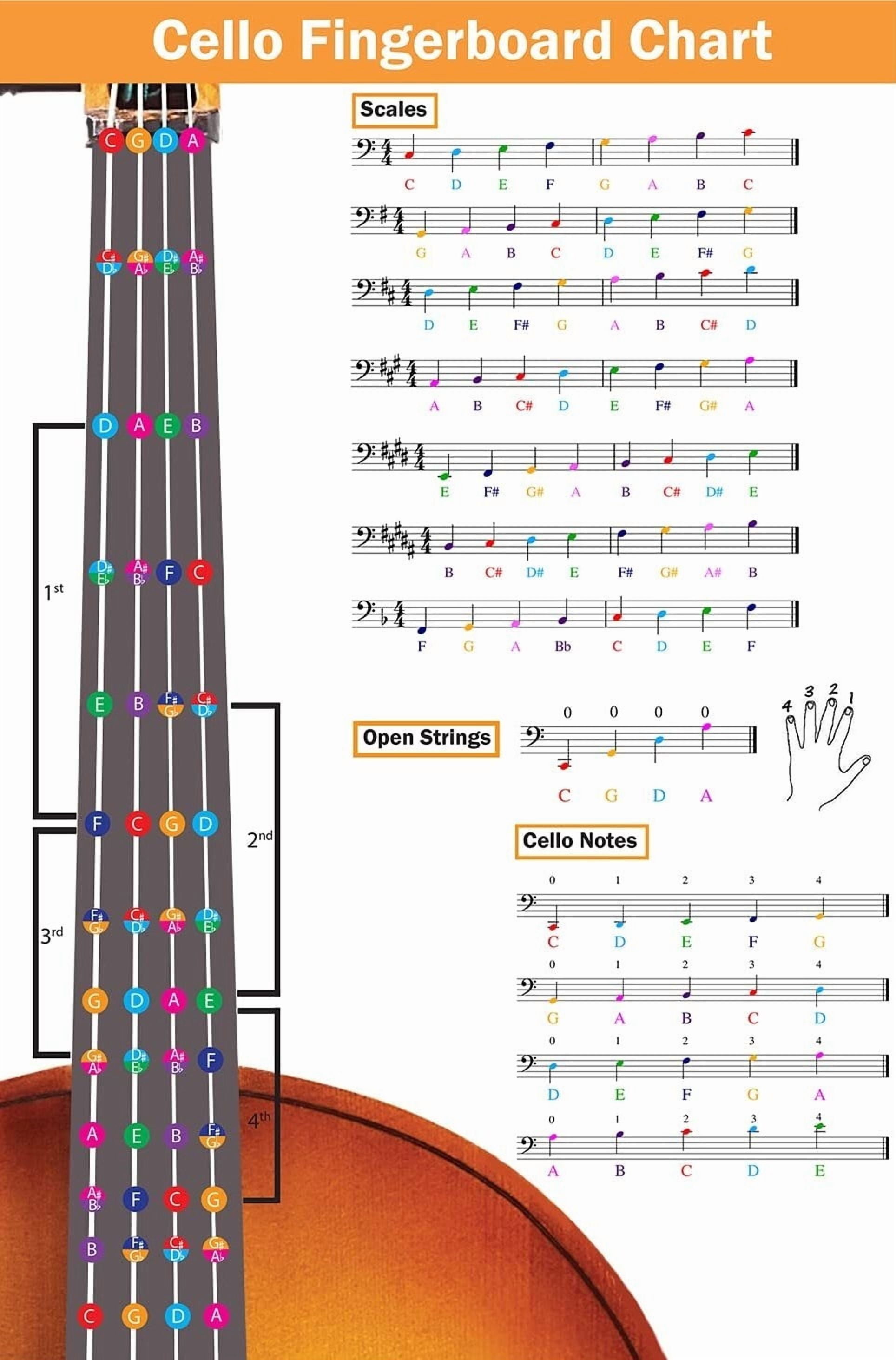 Cello Fingering Chart poster with Color-Coded Notes, Cello Scales ...