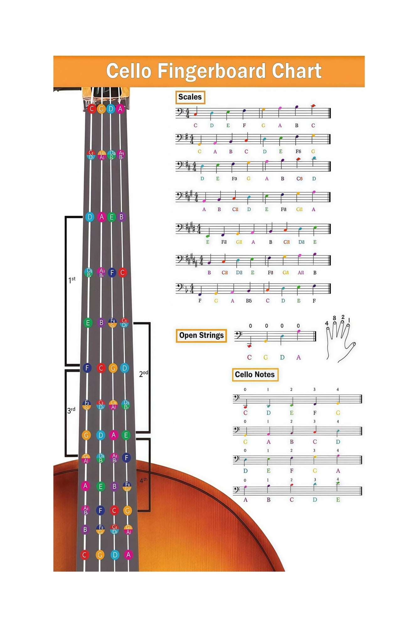 Cello Teacher's Essential Wall Chart, Color-Coded Fingering and Scale ...