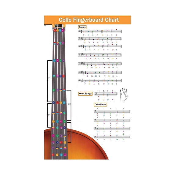 Cello Teacher's Essential Wall Chart, Color-Coded Fingering and Scale ...