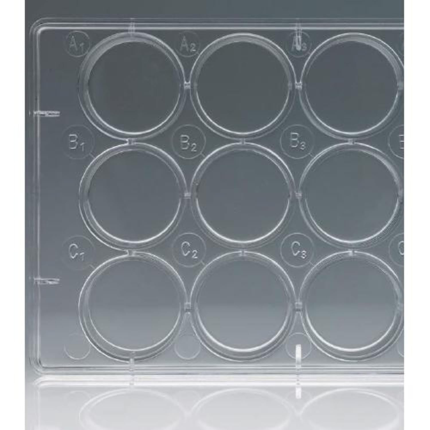 Celltreat 229106 6 Well Tissue Culture Plate with Lid, Sterile, 9.60cm2 ...