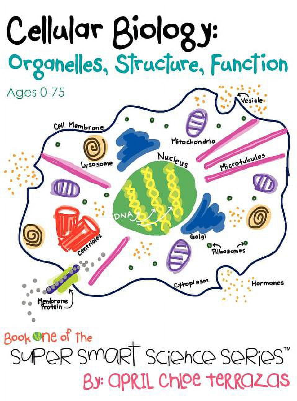 Cellular Biology: Organelles, Structure, Function, (Hardcover ...