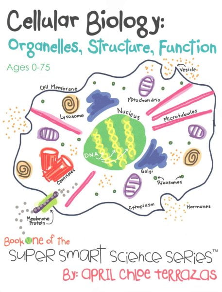 Cellular Biology: Organelles, Structure, Function (Paperback) - Walmart.com