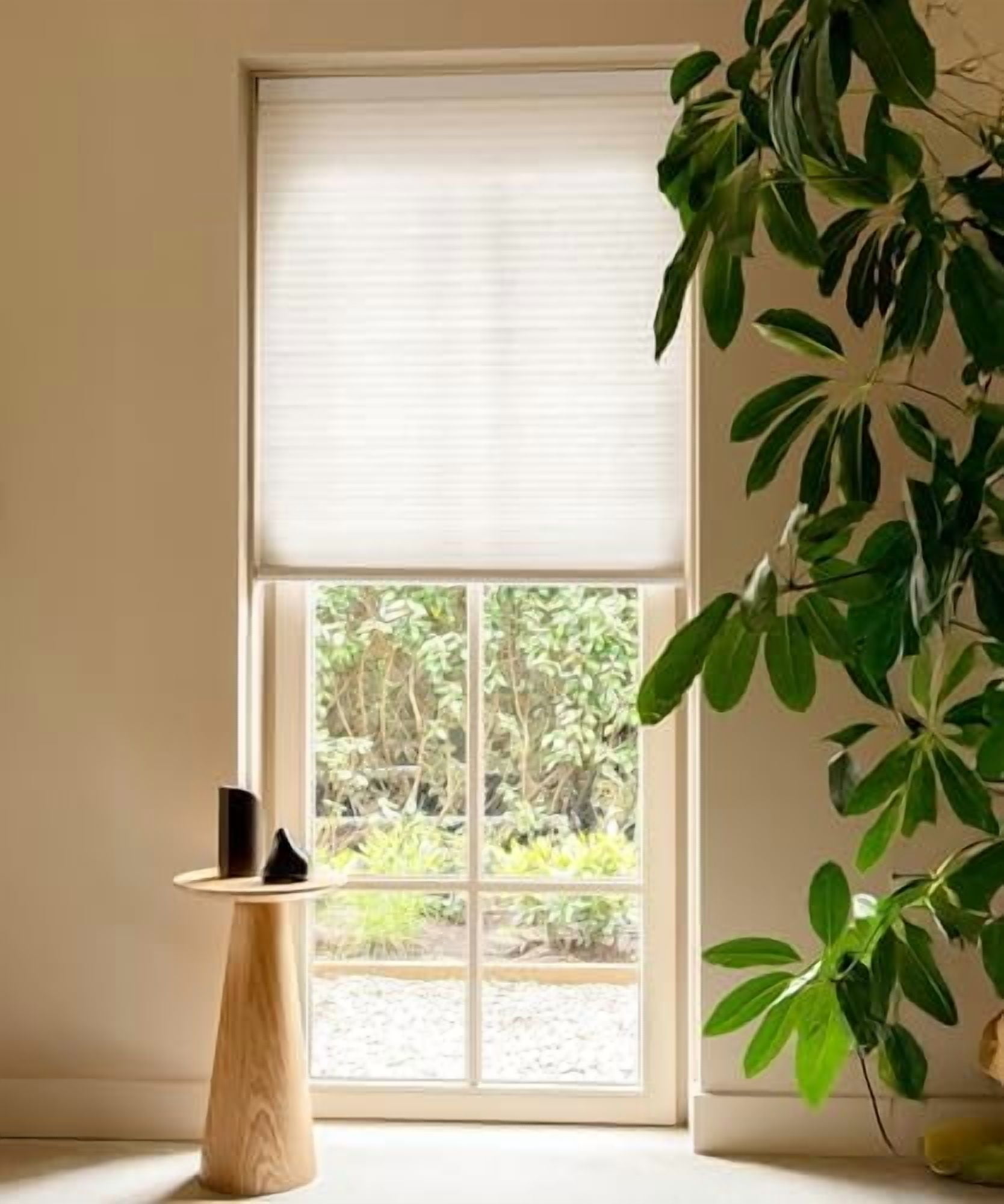 Cellular Shades Cordless, Pull Down Shades for Windows, Honeycomb Blinds 9/16" Cell, Light ...