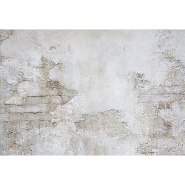 Cement Gradient Wall Texture Party Portrait Photozone Photography ...