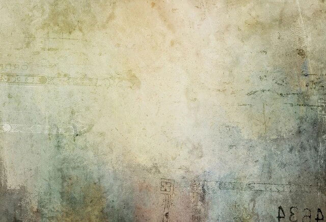 Cement Gradient Wall Texture Party Portrait Photozone Photography ...