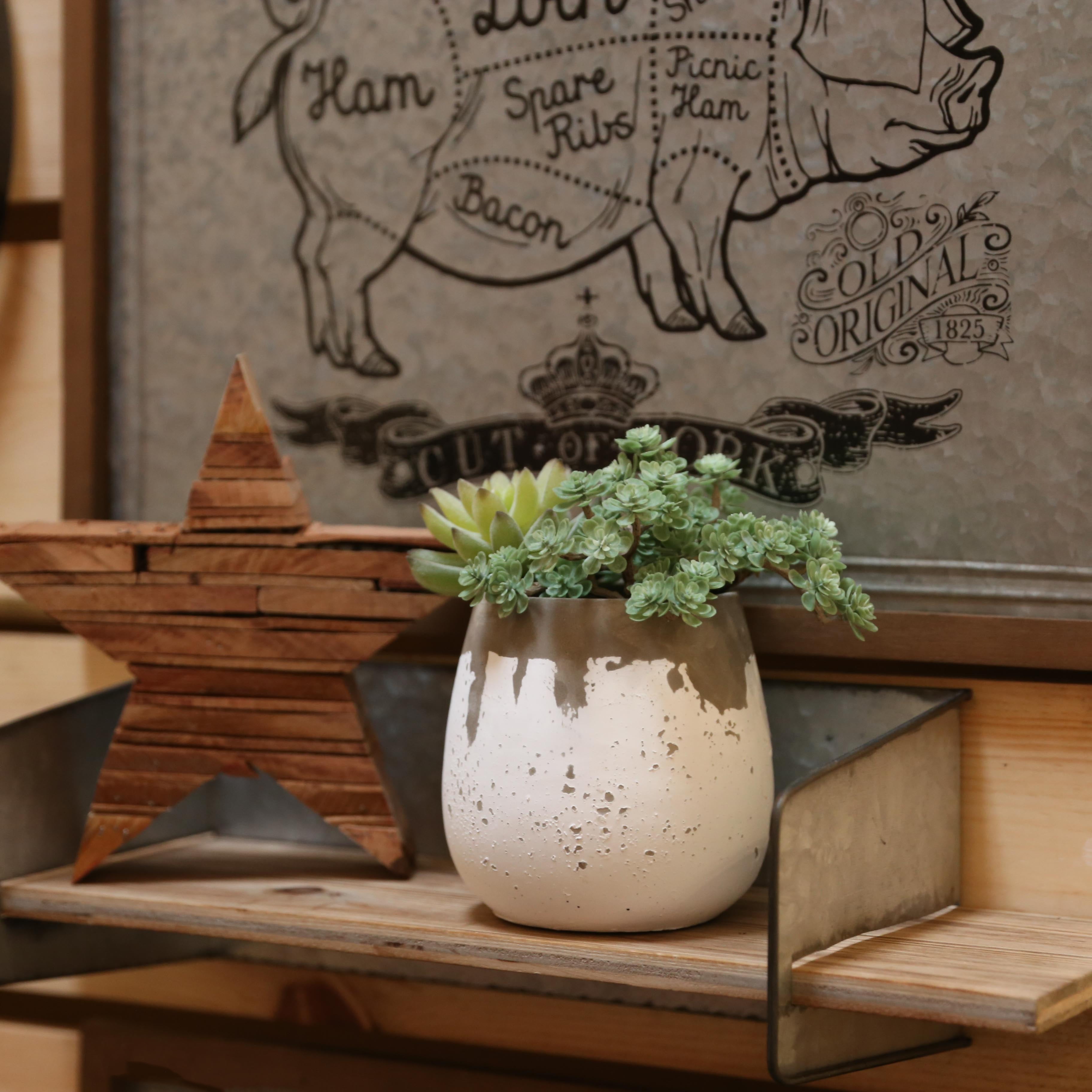 Cement Round Bellied Pot with Irregular White Banded Rim Top and ...