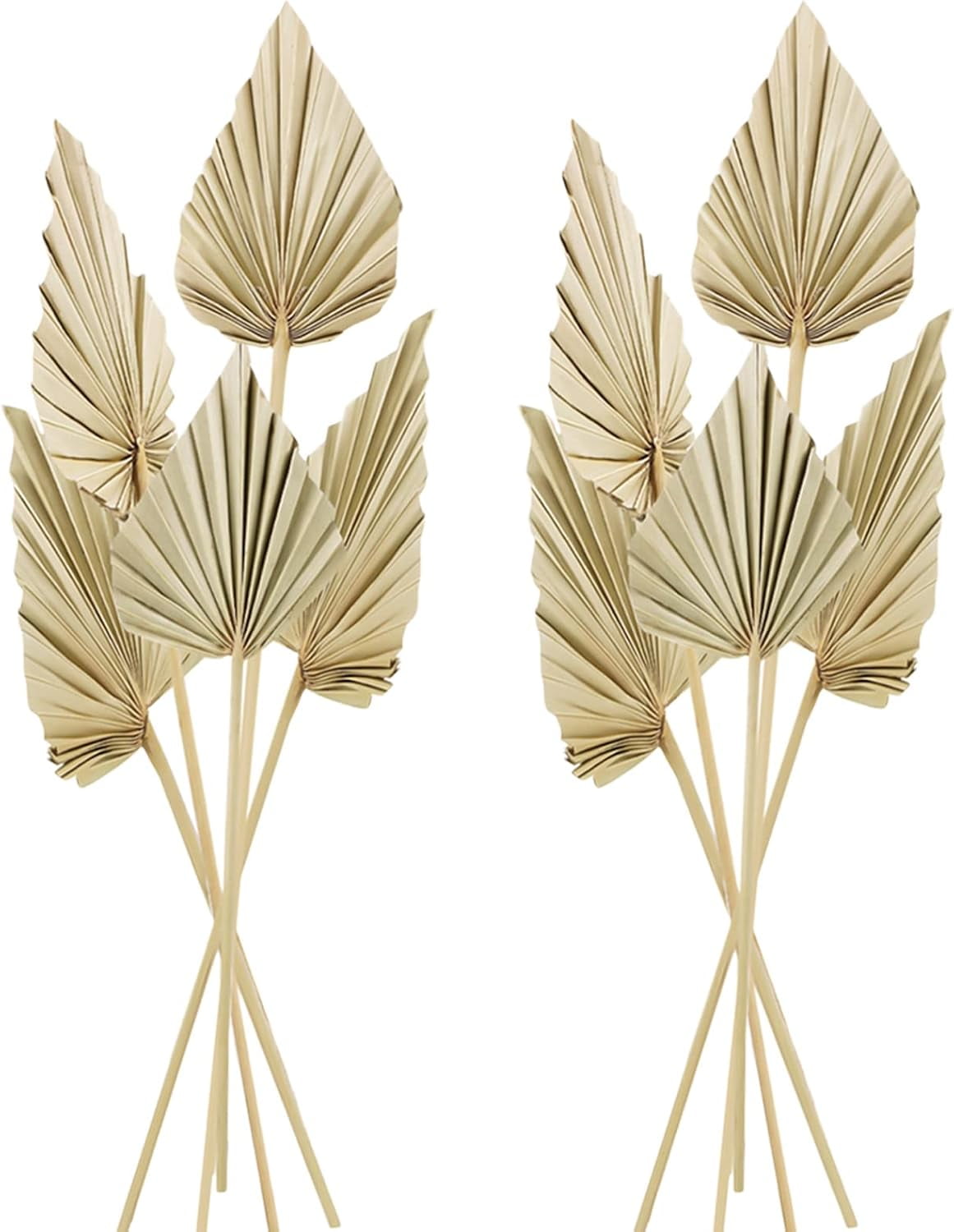 Cenkaiyang 10 Pcs Boho Dried Palm Spears Leaves, Real Palm Fans with ...