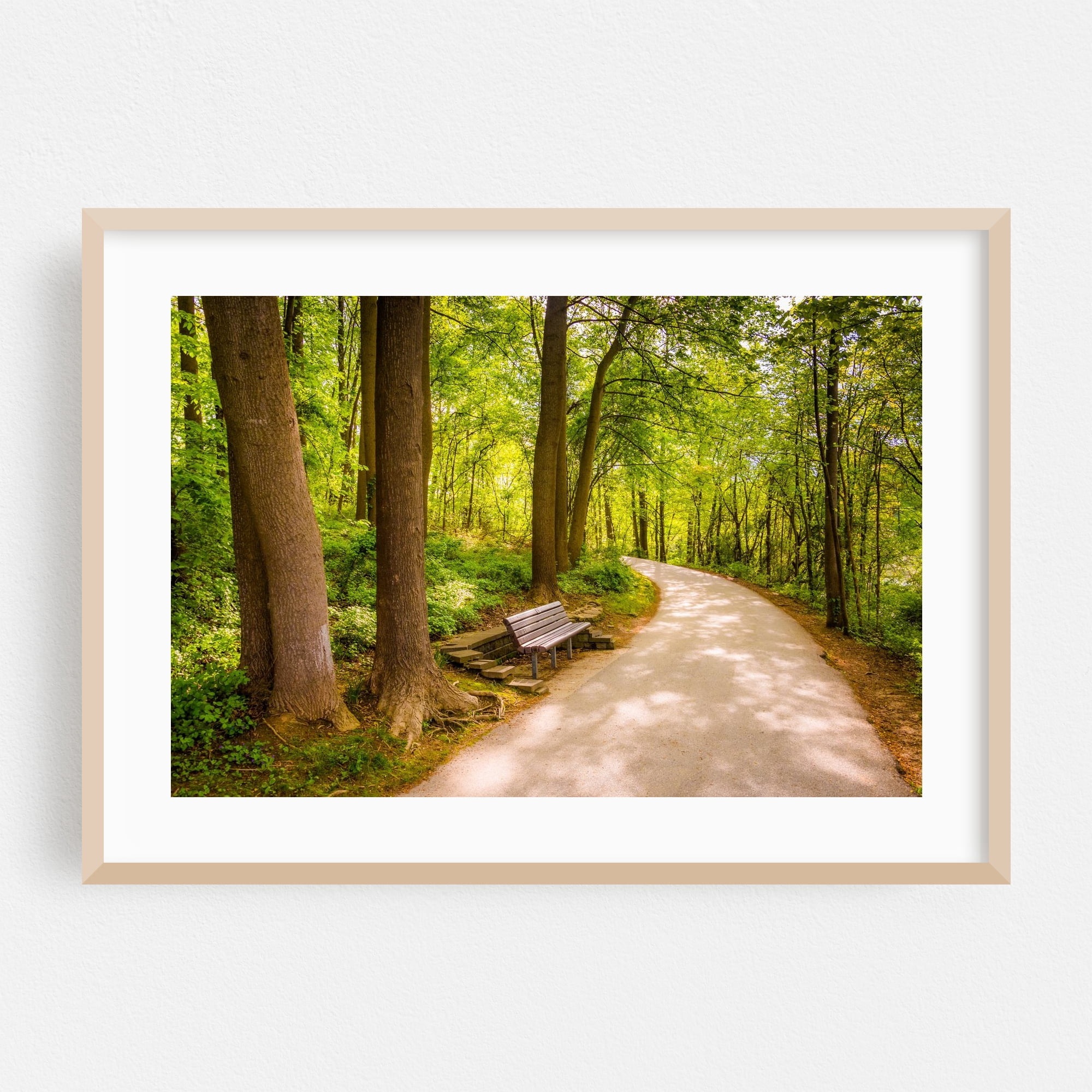 Centennial Park - Ellicott City Maryland Photography Forest Nature ...