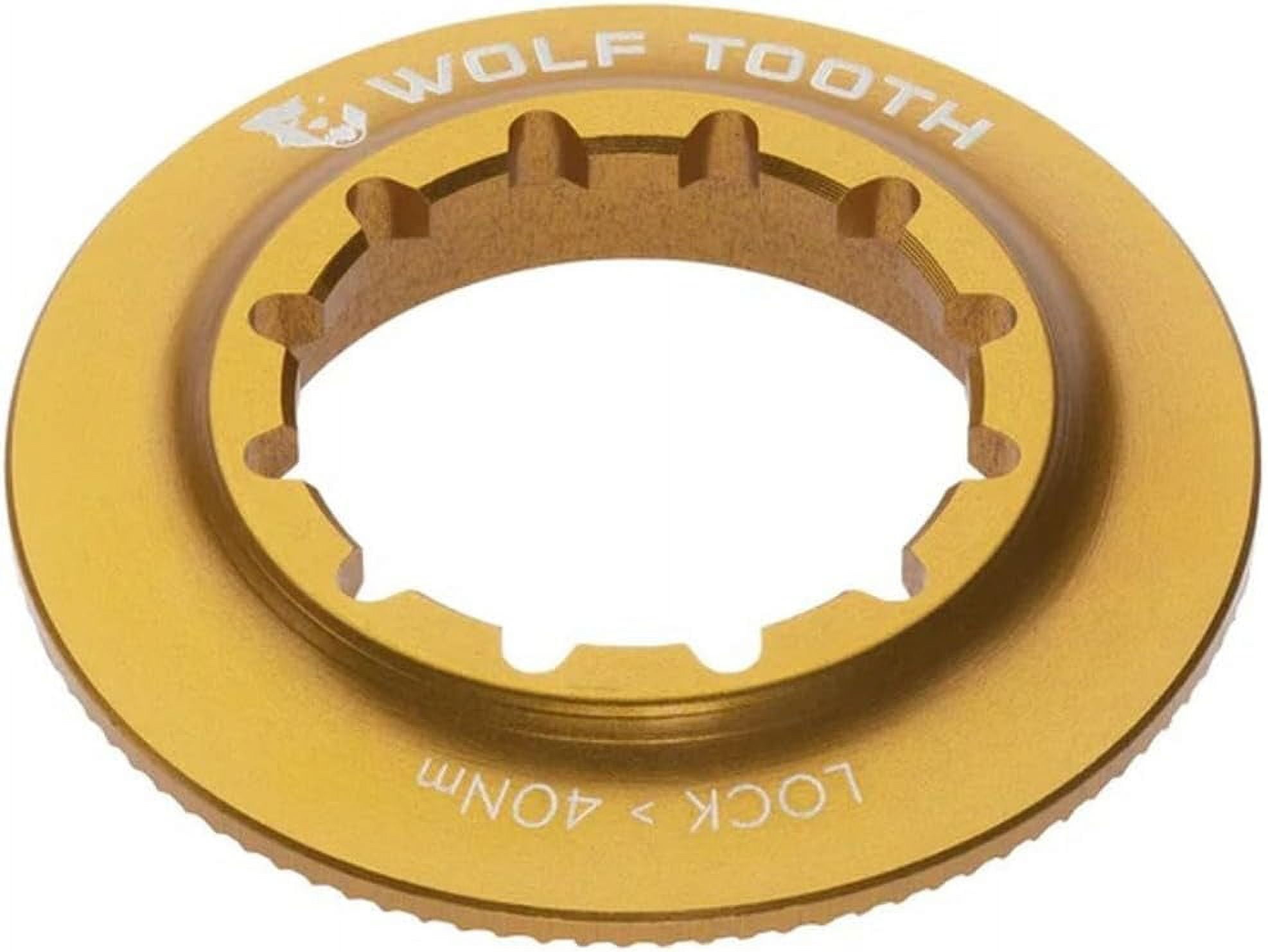 Centerlock Rotor Lockring – Internal Spline - Walmart.com