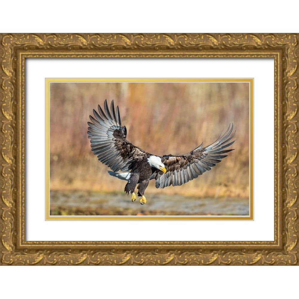 Centioli, Mike 18x13 Gold Ornate Wood Framed with Double Matting Museum ...