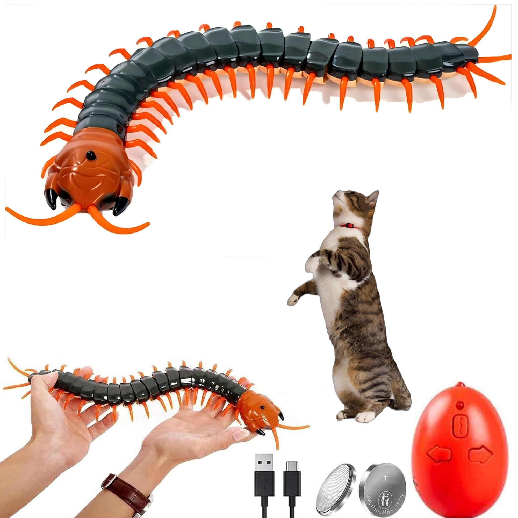 Centipede Cat Toy, Realistic Simulation Smart Sensing Remote Control ...