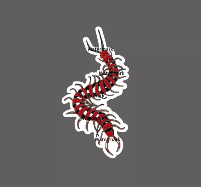 Centipede Sticker Insect Waterproof Sticker Phone Decal Water Bottle ...
