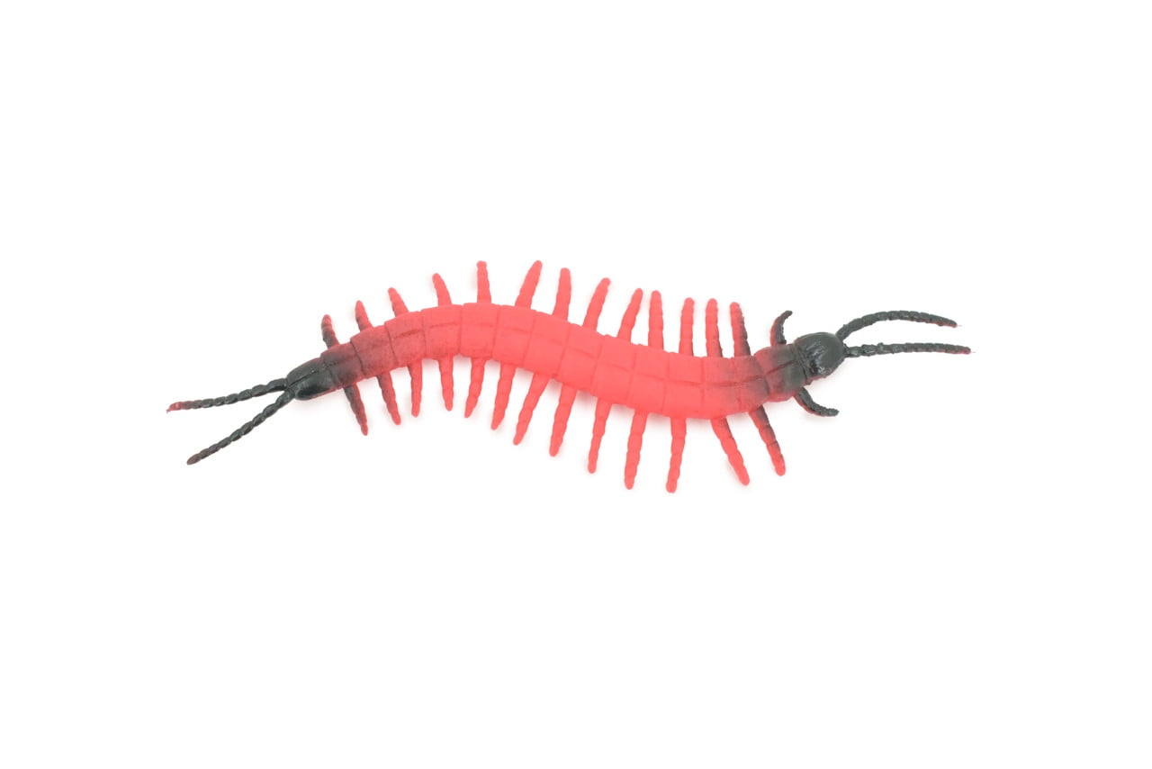 Centipede, Very Nice Rubber Insect, Educational, Realistic Hand Painted ...