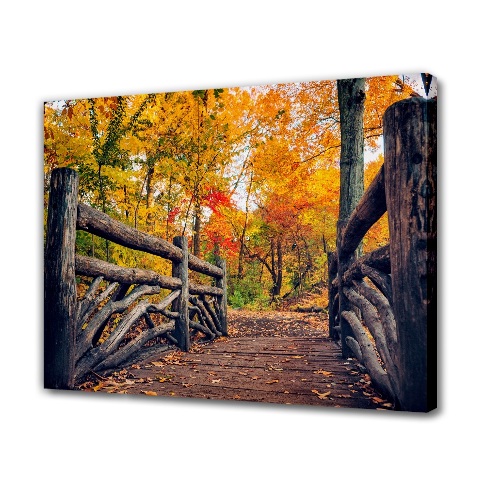 Central Park Autumn - Wooden Bridge and Fall Foliage - New York City ...