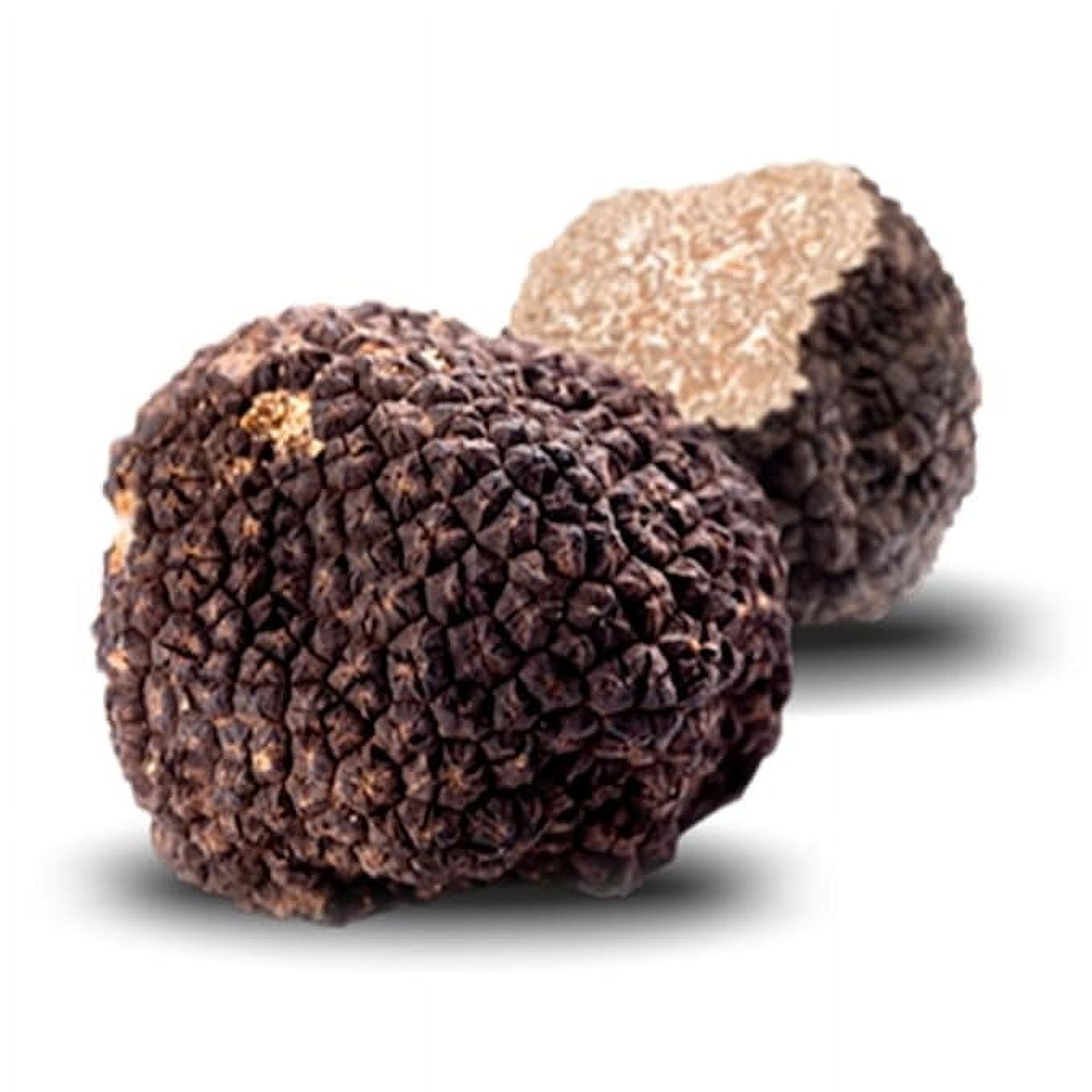 Centro Tartufi Molise Fresh Italian Black Summer Truffles, Gourmet Solid and aromatic flavor ...