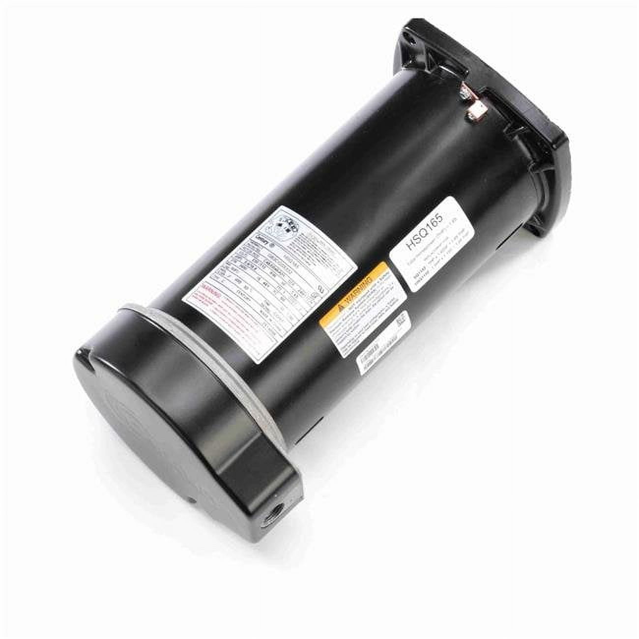 Century/A.O. Smith Centurion Pro 1.65 THP Pool and Spa Pump Motor with ...