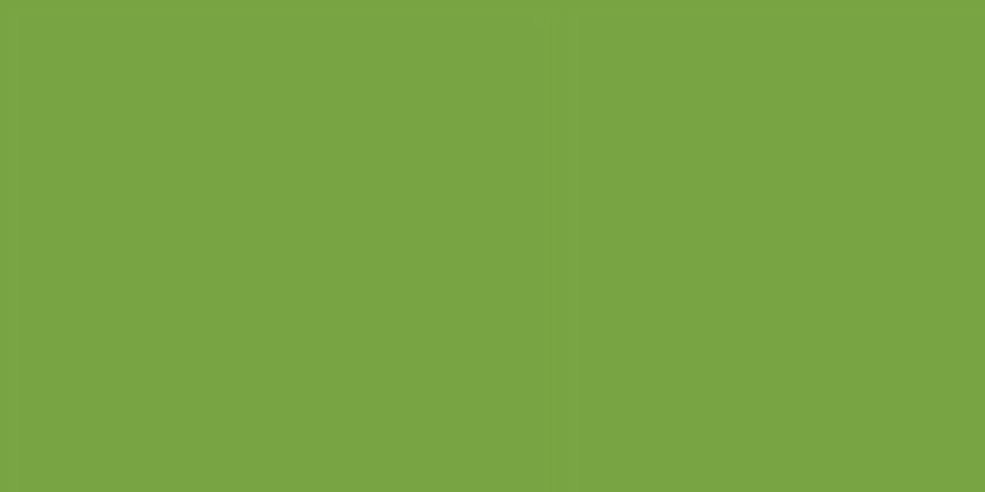 Delta Ceramcoat Acrylic Paint 2oz-Leaf Green - Opaque - Walmart.com