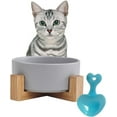 Ceramic Bowl with Stand, & Water Bowls Elevated Non-Spill Modern Cute ...