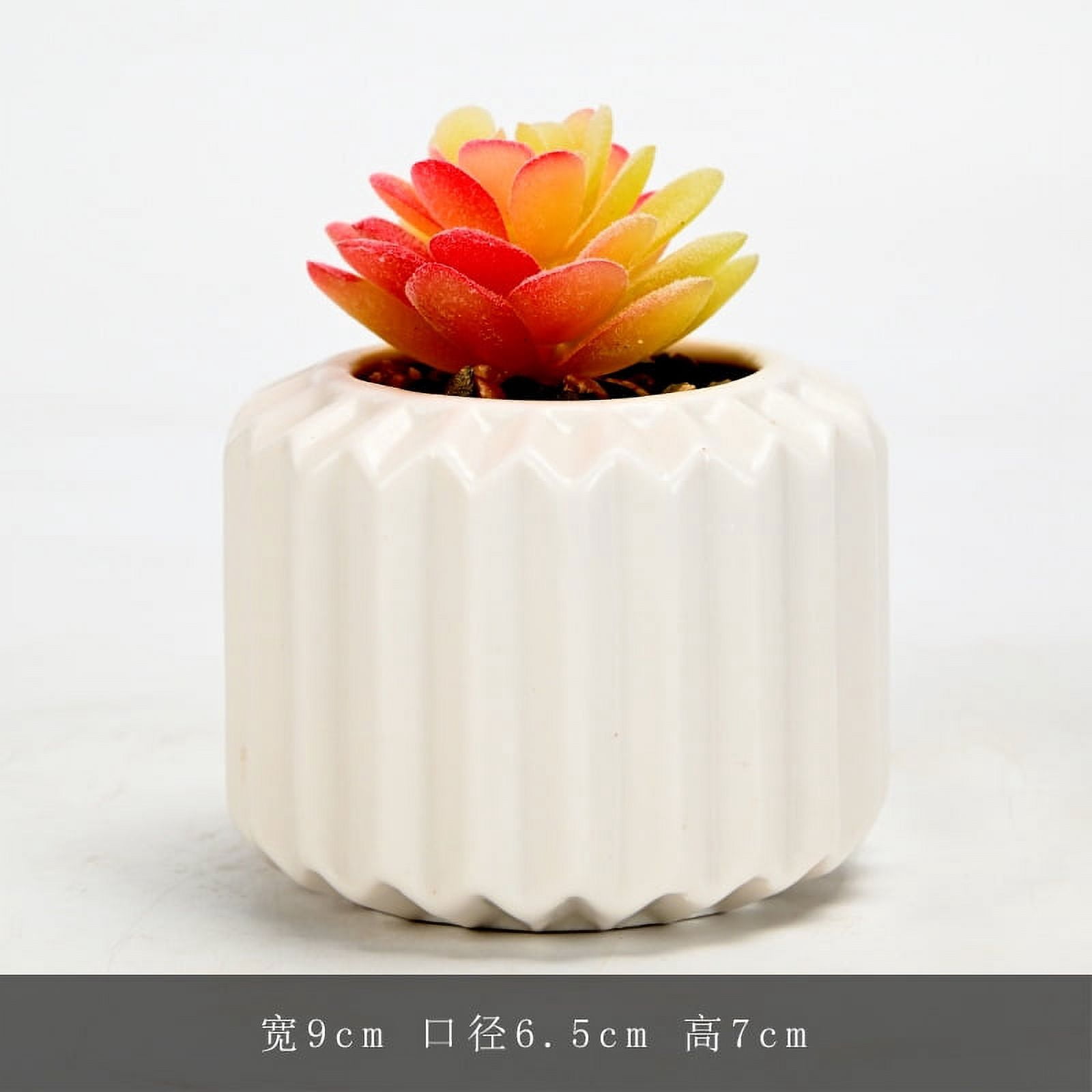 Ceramic Cactus Planter Succulent Planter Novelty Planter Ceramic Plant ...