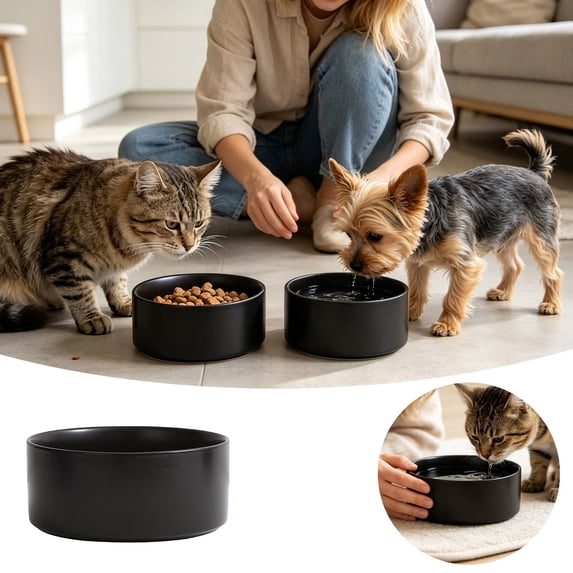 Ceramic Cat Food Bowls Pet Water Bowl, Everyday Water Bowl For Cats ...