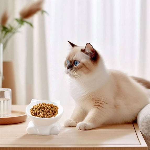 Ceramic Cat and Dog Food Dish with Slanted Design for Stable Non-Tip ...