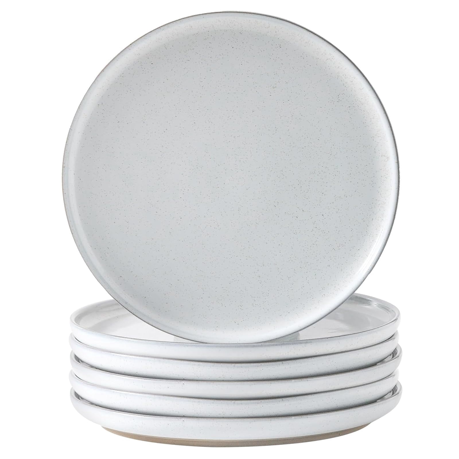 Ceramic Dinner Plates Set of 4, 10 Inch Stoneware Plates, Microwave ...