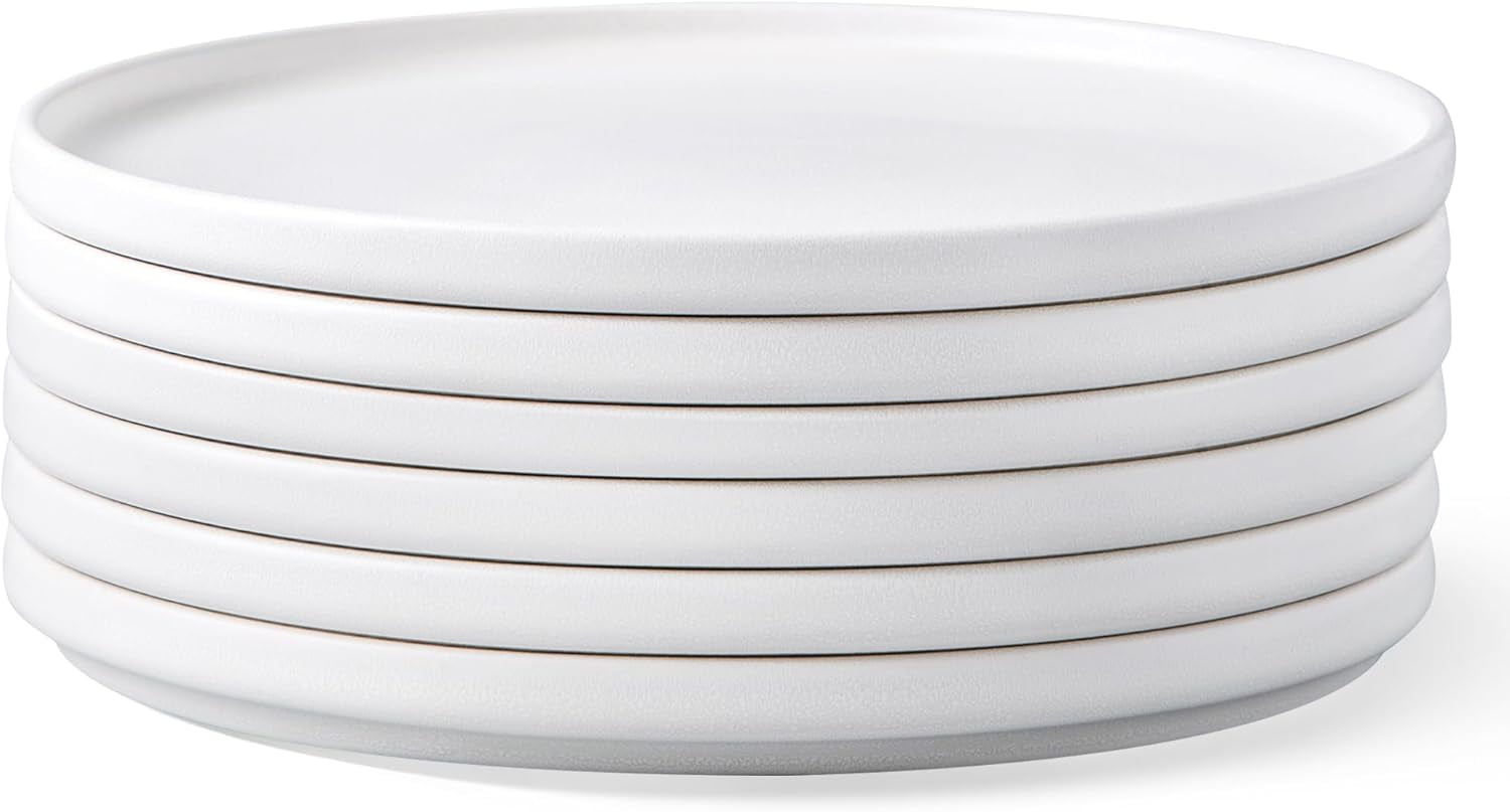 Ceramic Dinner Salad Plates Set of 6, 8.0 Inch Reactive Matte Glaze ...